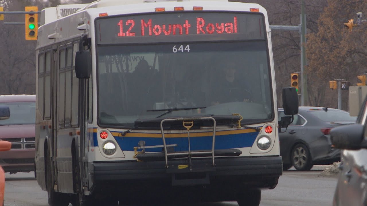 Regina Transit challenge organizers hope to show city council what bus ...