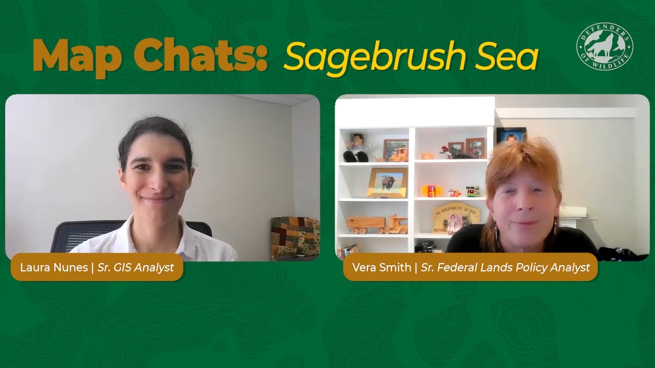 Map Chats: Sagebrush Sea - YouTube