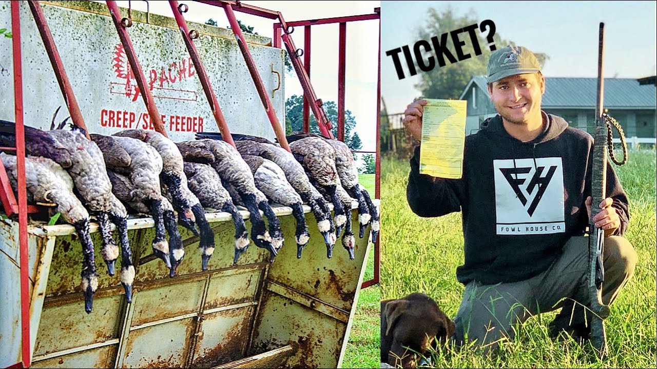 Landing huge flocks of geese at 15 yards and Game Warden shows up ...