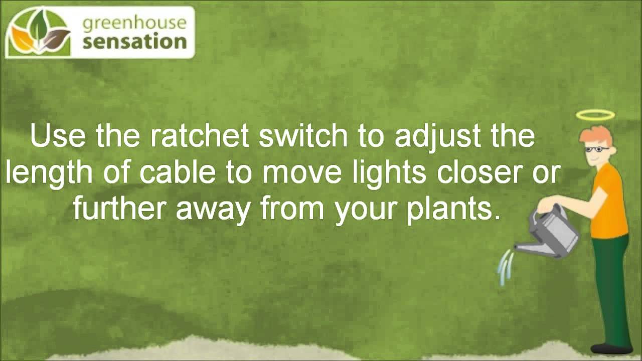 Setting Up Propagation Lights with a Vitopod Propagator - YouTube