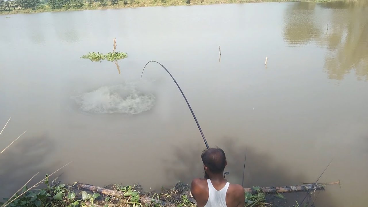 করতোয়া নদীতে সোলাইমানের দহে বোয়াল মাছ ধরা।। big big Bowel, Kalbaus ...