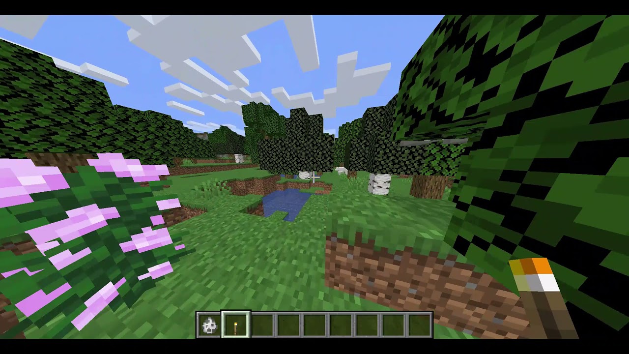 I FOUND THE DREAM SMP IP #DreamSMP - YouTube