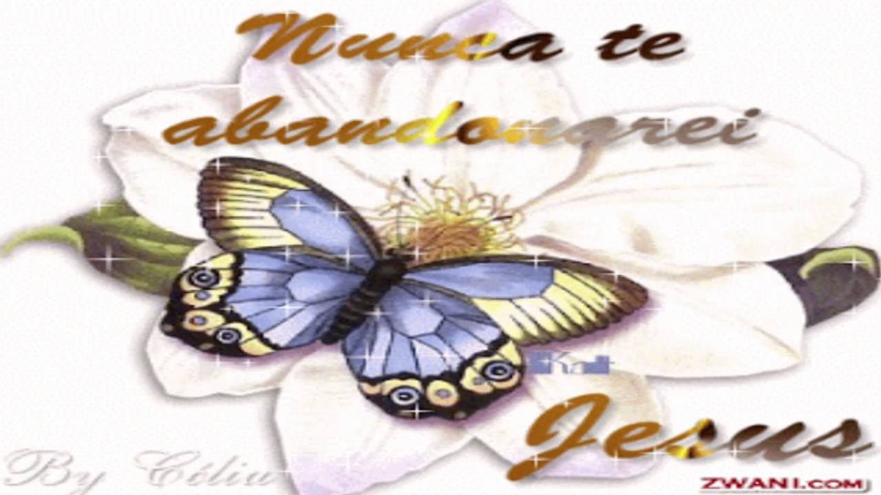 ALELUYA AMEN HIMNO - YouTube
