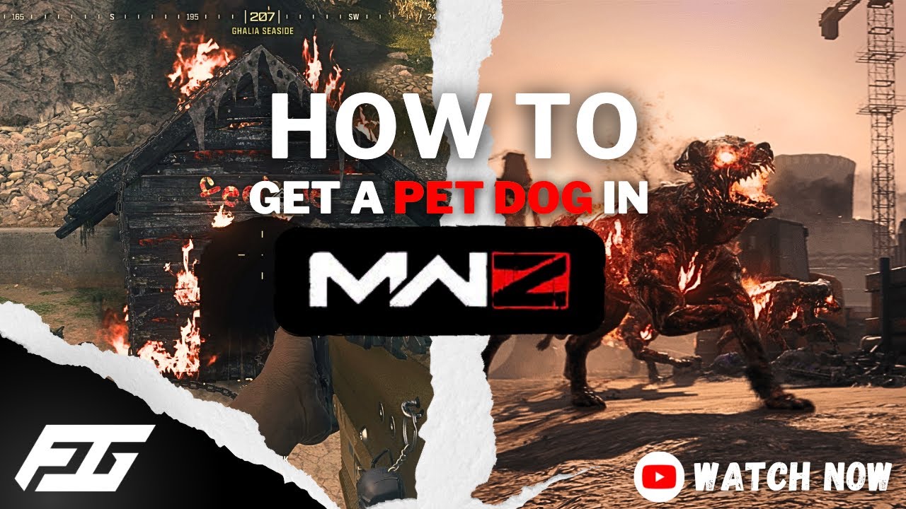 Modern Warfare 3 Zombies | How To Get Pet Dog in MW3 Zombies - YouTube