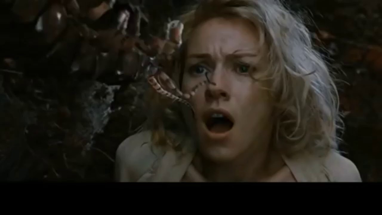 Danzer Zone....Part-1 - YouTube