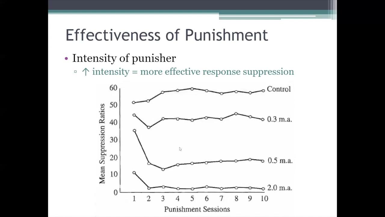 PSYC 370 Video Lecture - Variables Affecting Punishment - YouTube