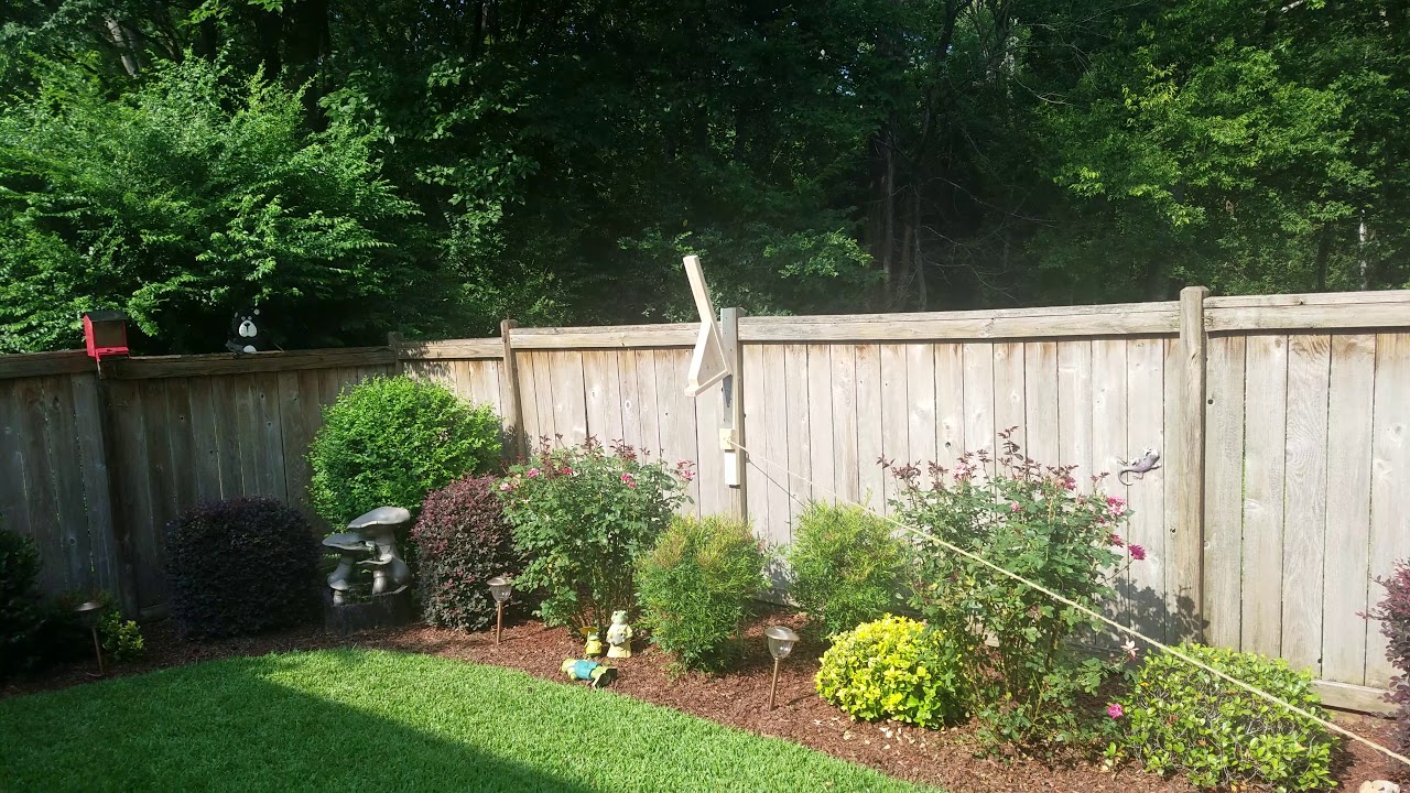 Squirrel launcher test - YouTube