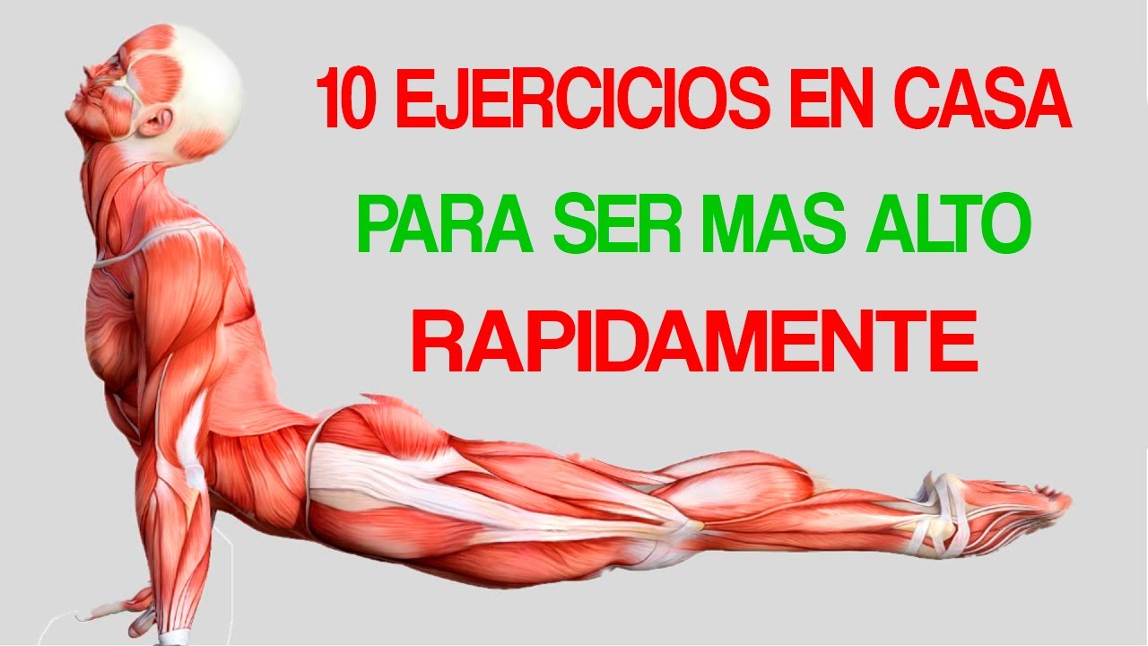 LOS 10 MEJORES EJERCICIOS CASEROS PARA SER MÁS ALTO | Ejercicios Para ...