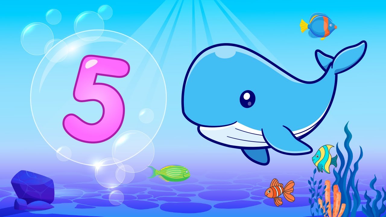 Learning Numbers with Cute Whale! | Fun Learning for Preschoolers | Let ...