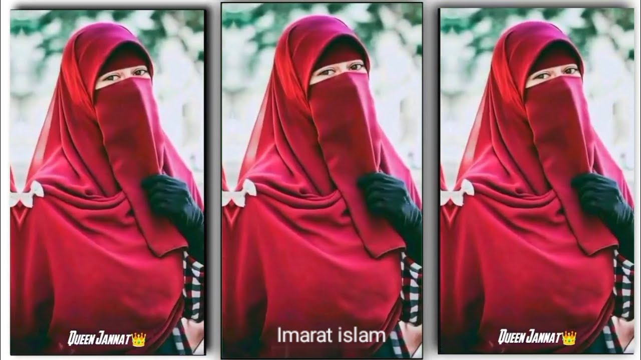 Muslim Cute Hijab Girl Status __💖🌼 __Cute Hijab Girl Status __Hijab ...