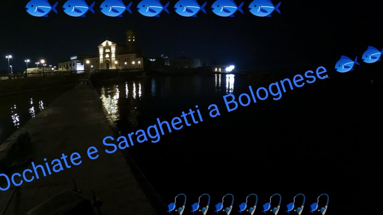 Pesca dal molo saraghi occhiate sparlotti con la bolognese Daiwa super ...