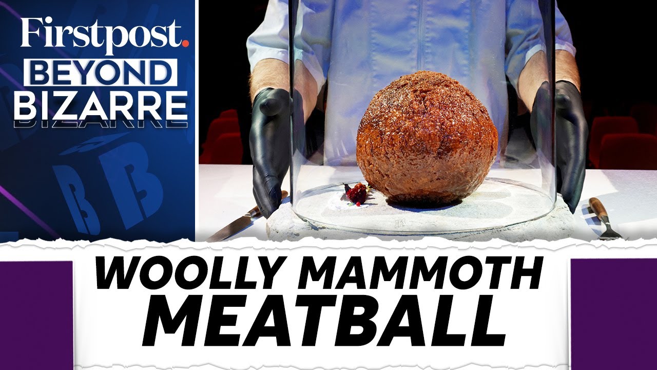 Want To Eat a Woolly Mammoth Meatball? | Beyond Bizarre - YouTube
