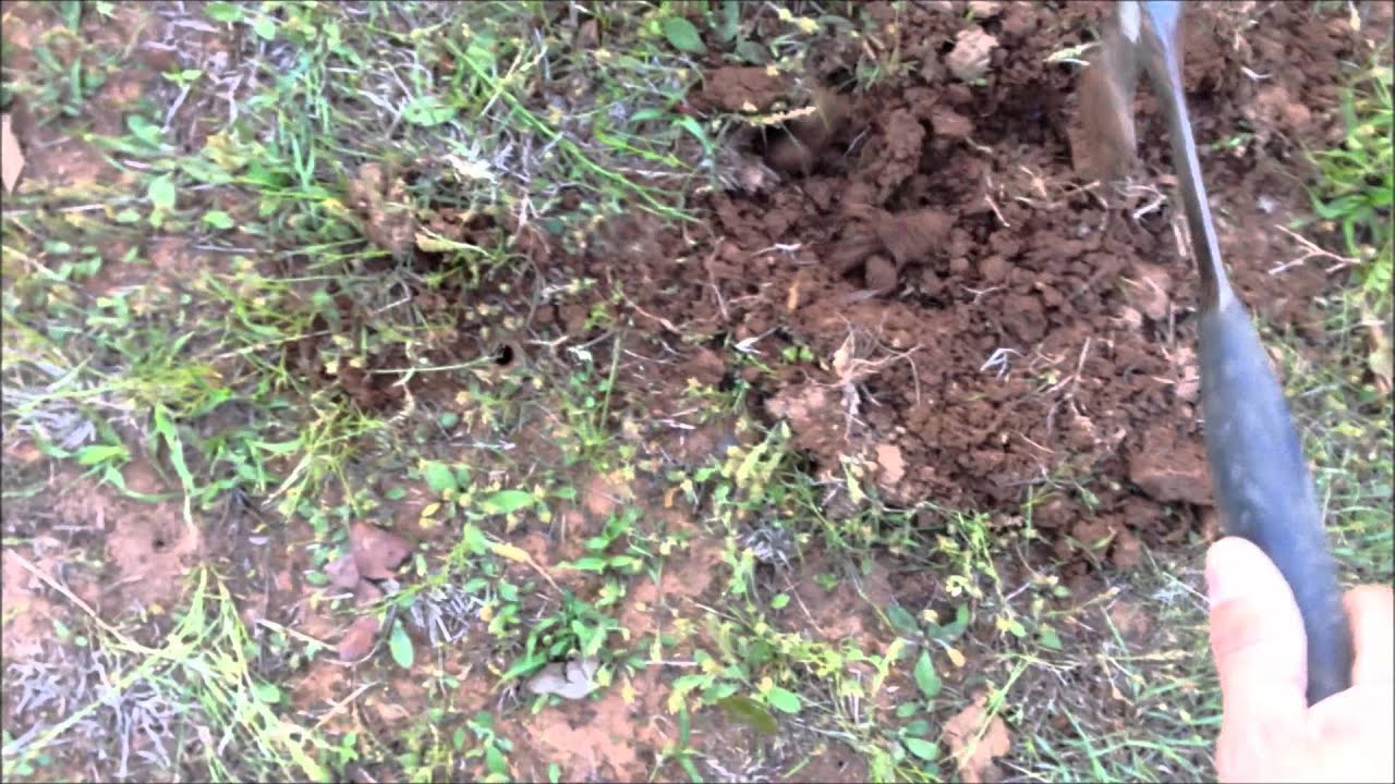 How to test a hot wire/electric fence - YouTube