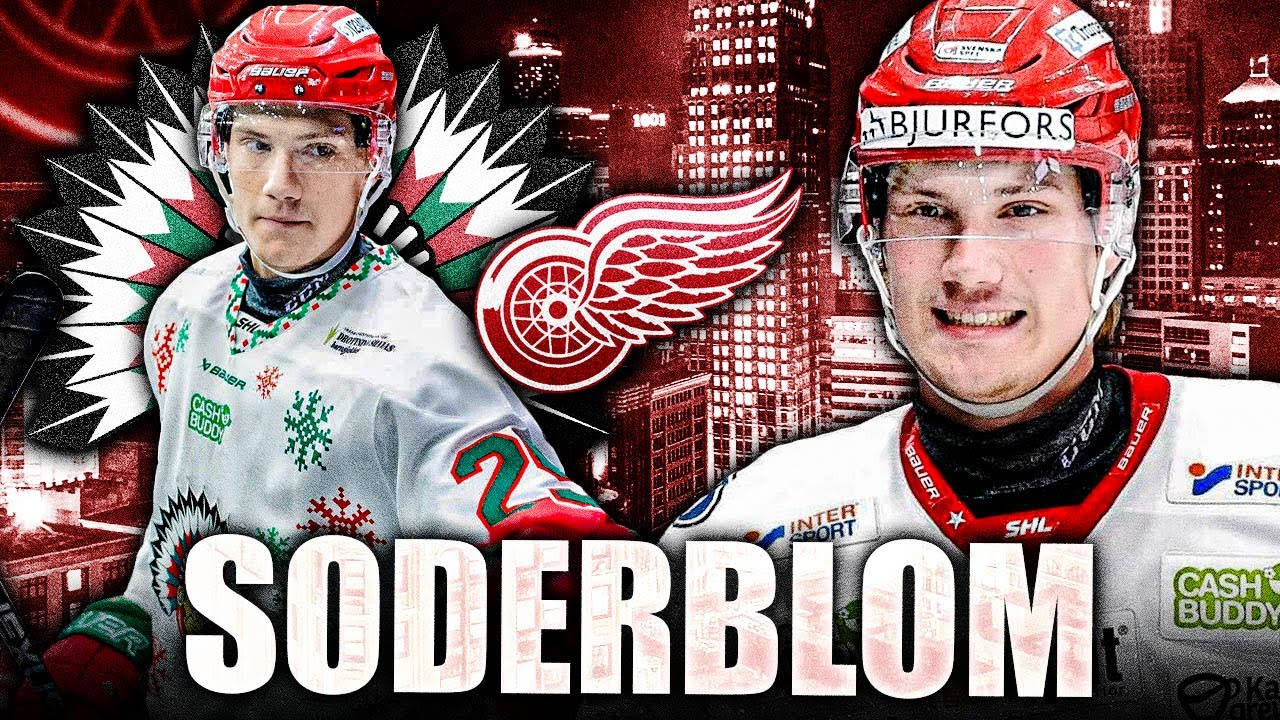 The Red Wings Have A HUGE STEAL In Elmer Soderblom (Literally) Detroit ...