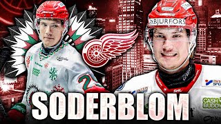 The Red Wings Have A HUGE STEAL In Elmer Soderblom (Literally) Detroit ...