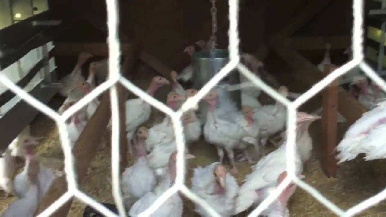 Jimmy & Christine Moore Visit Live Oak Farms In Woodruff, South ...