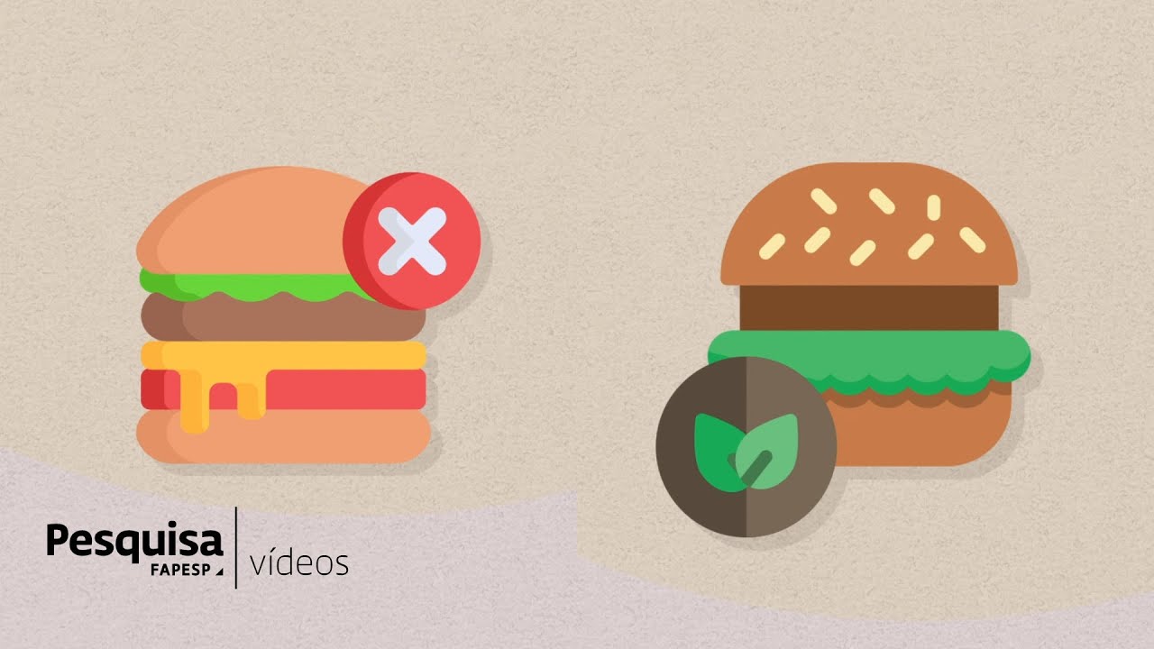 Ultraprocessados de carne ou veganos, faz diferença? - YouTube