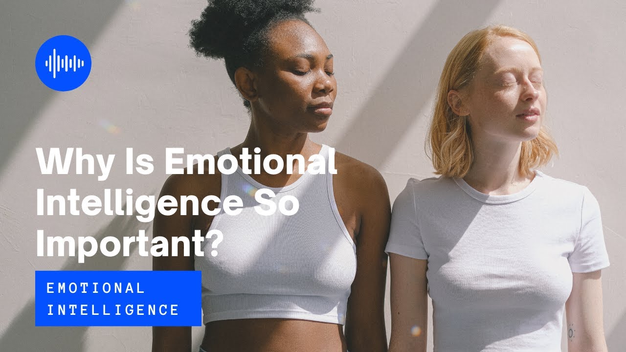 Get Four Lenses Training - YouTube