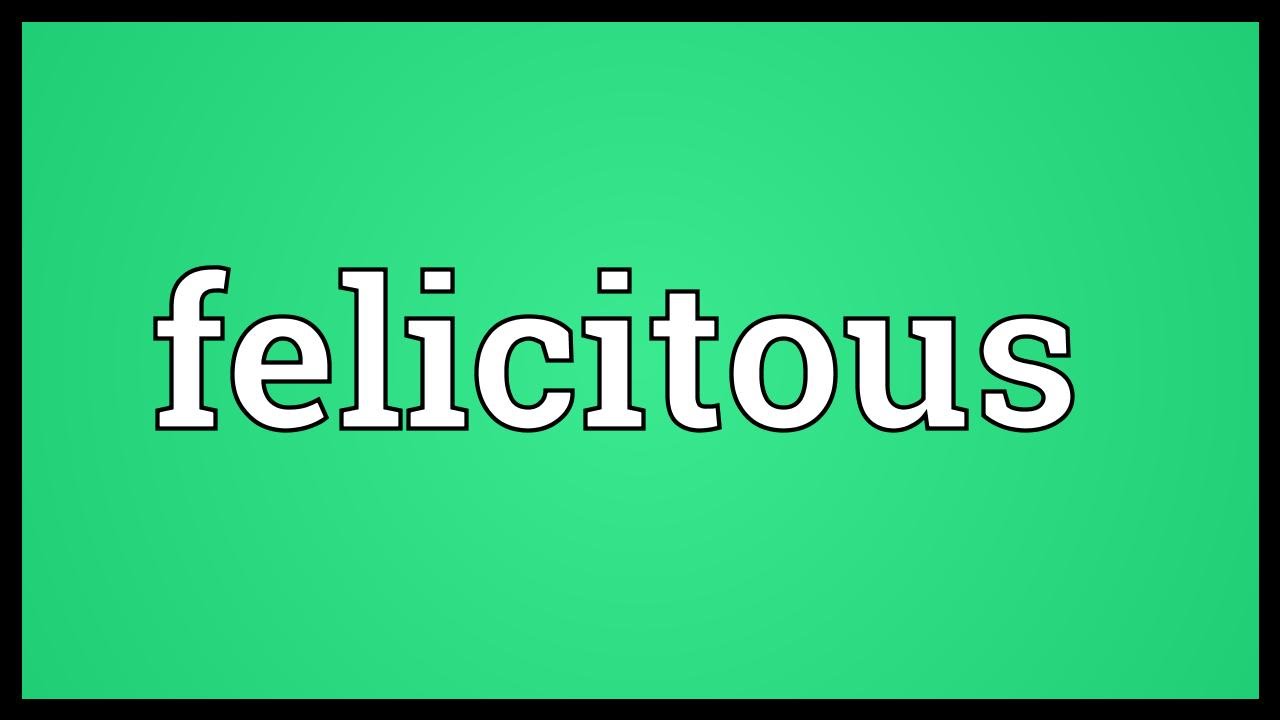 Felicitous Meaning - YouTube