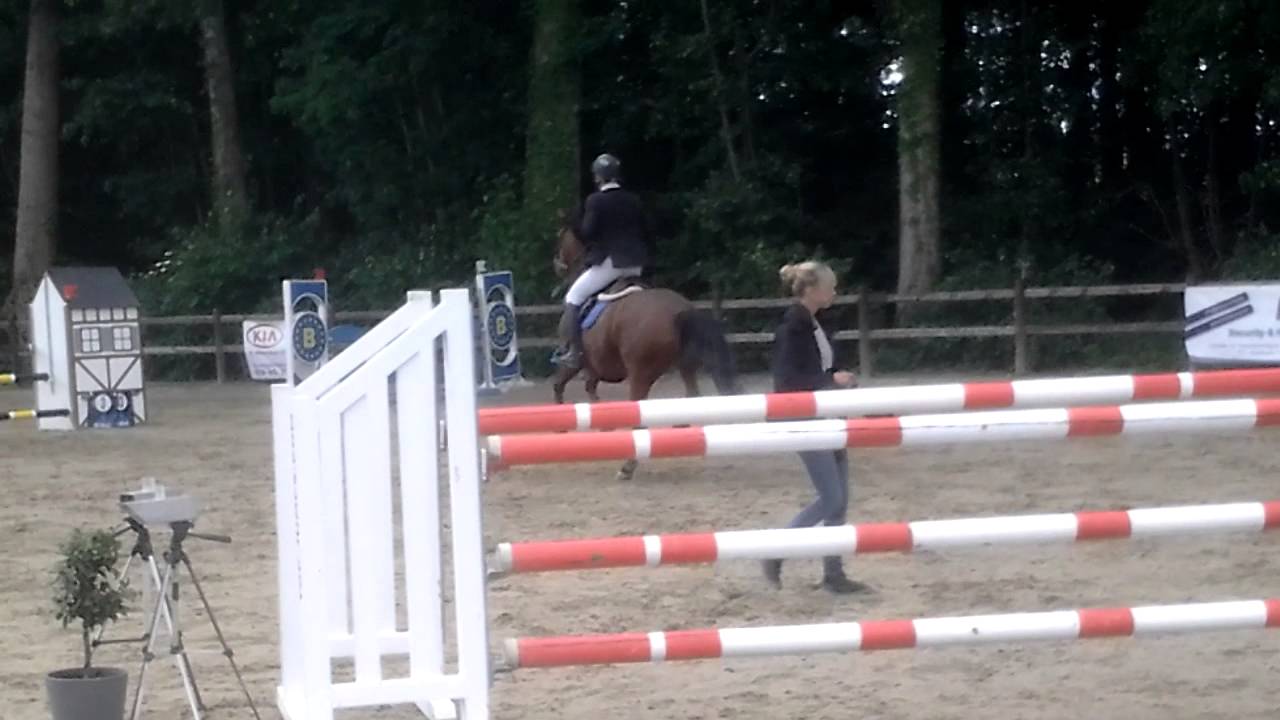 1m10 Arno Boon met Queen du Noyer - YouTube