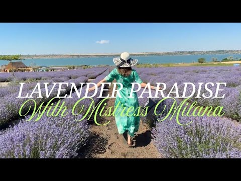Lavender Paradise with Mistress Milana