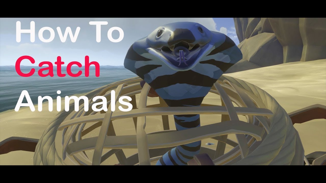 Sea Of Thieves: Merchant Alliance - YouTube