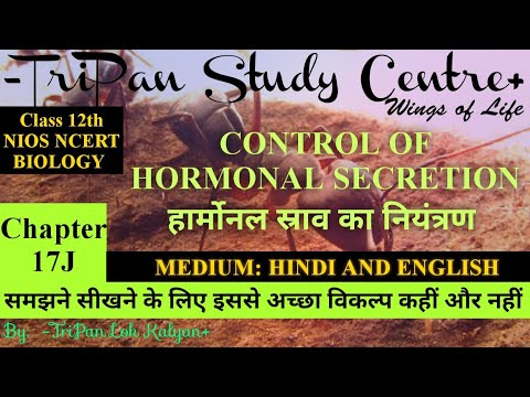 CONTROL OF HORMONAL SECRETION - YouTube