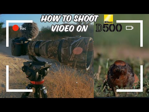 Shooting Video On The Nikon D500: Tips And Tricks - YouTube