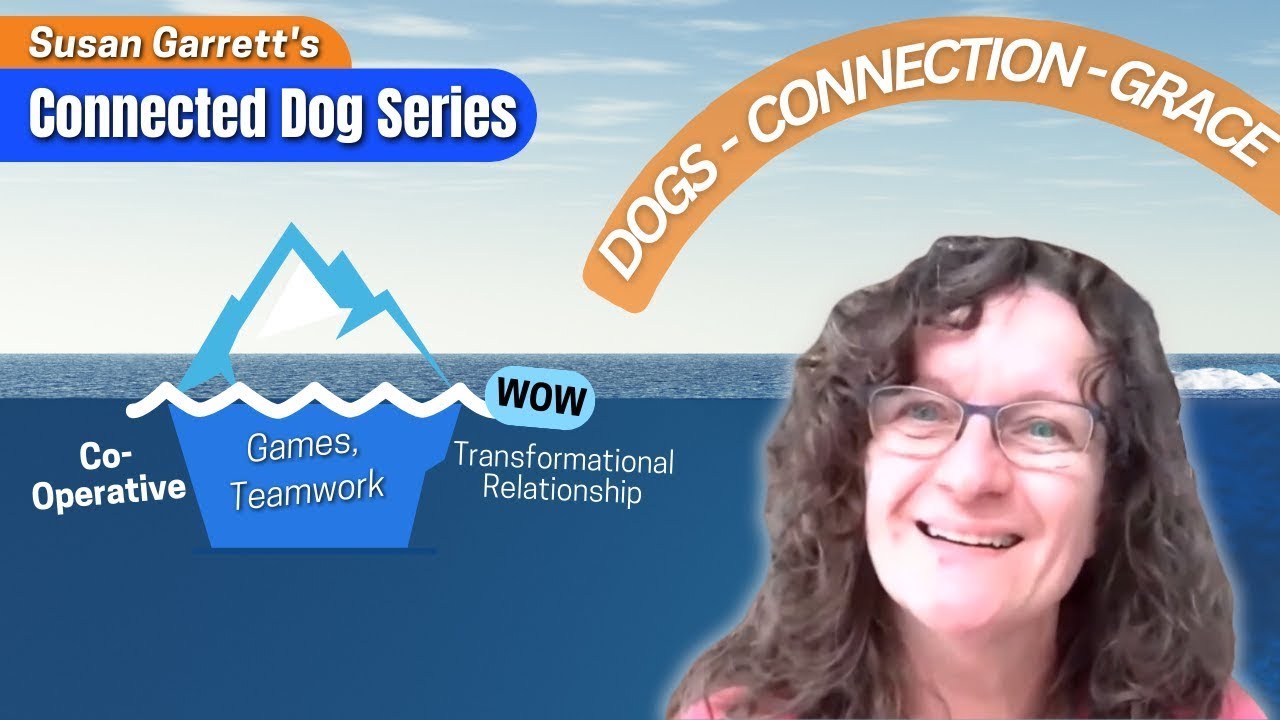 Dogs, Connection, Grace (The Dog Training Iceberg) - YouTube