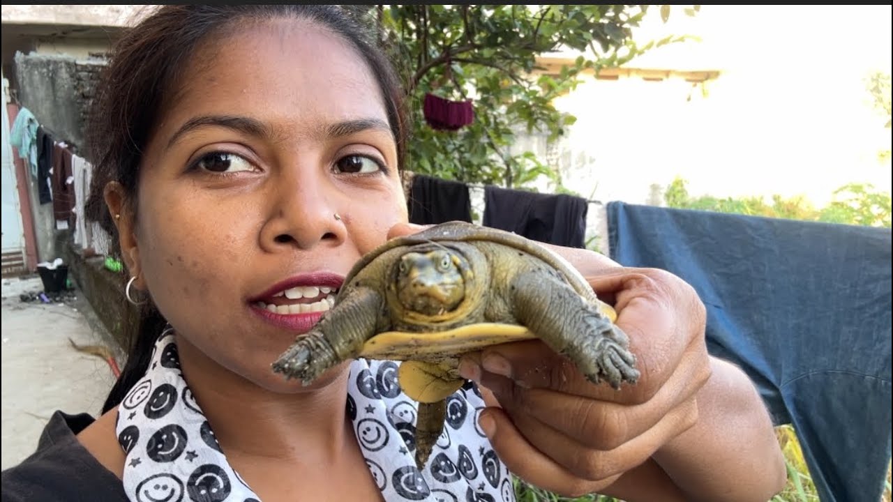 Please 🐢 hamare kachuwe ko thodi der dekhna. 😜😘 ok 👍 - YouTube