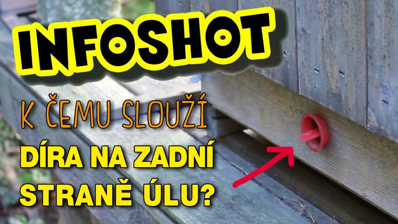 INFOSHOT: K čemu slouží díra na zadní straně úlu? - YouTube