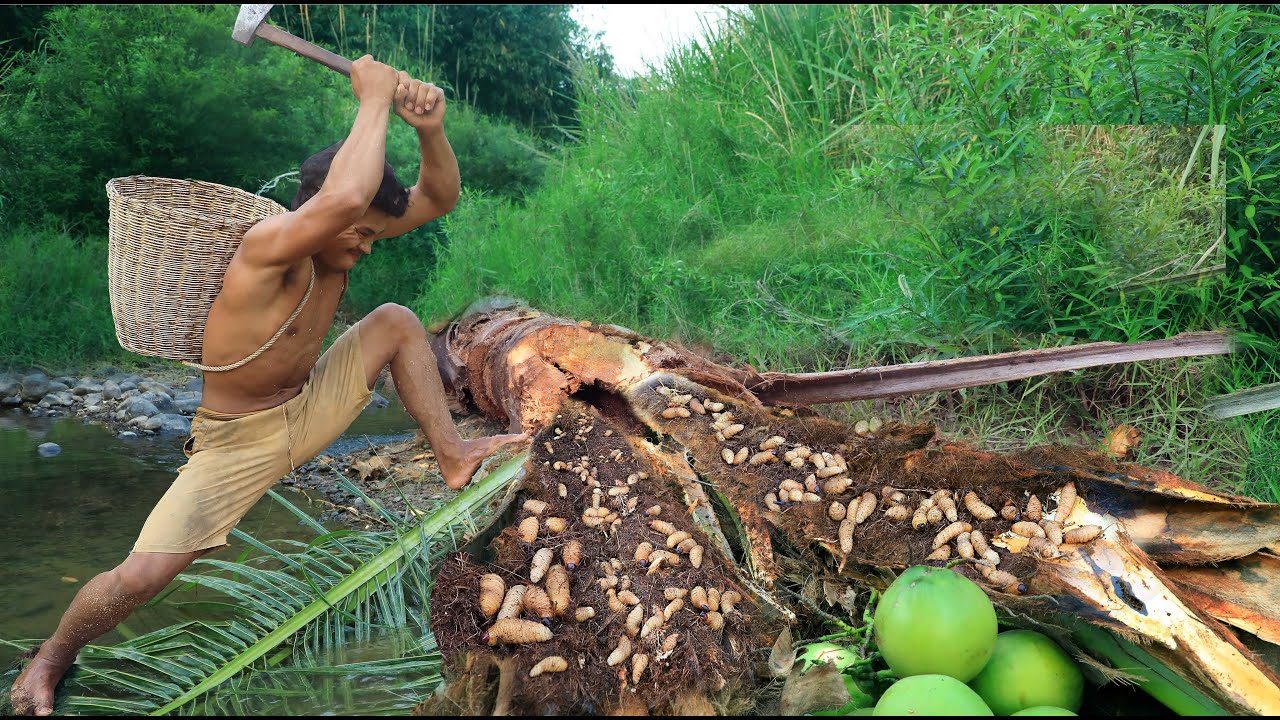 Find worms in coconut tree , Cooking worms coconut delicious - YouTube