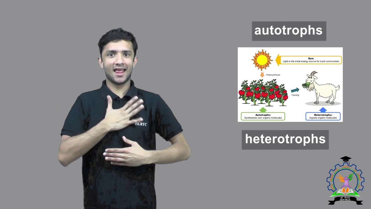 autotrophs and heterotrophs - YouTube