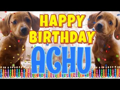 Happy Birthday Achu! ( Funny Talking Dogs ) What Is Free On My Birthday ...