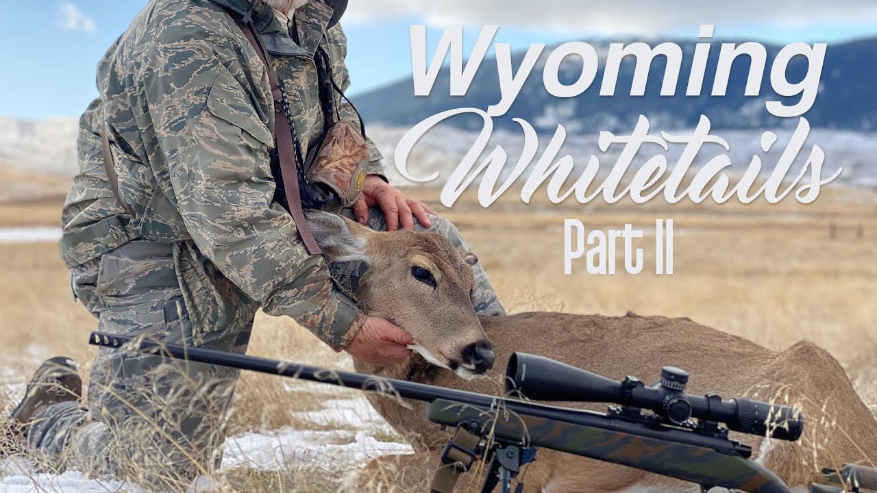 Wyoming Whitetails Part II - YouTube