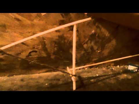 Paiute Deadfall Trap made with Chopsticks... successful mouse kill ...