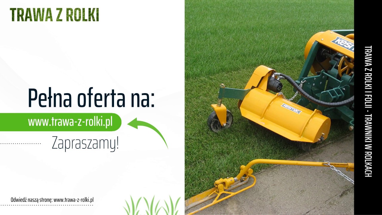 Trawnik z rolki Lubiczów Gospodarstwo Ogrodnicze Trawa z Rolki ...