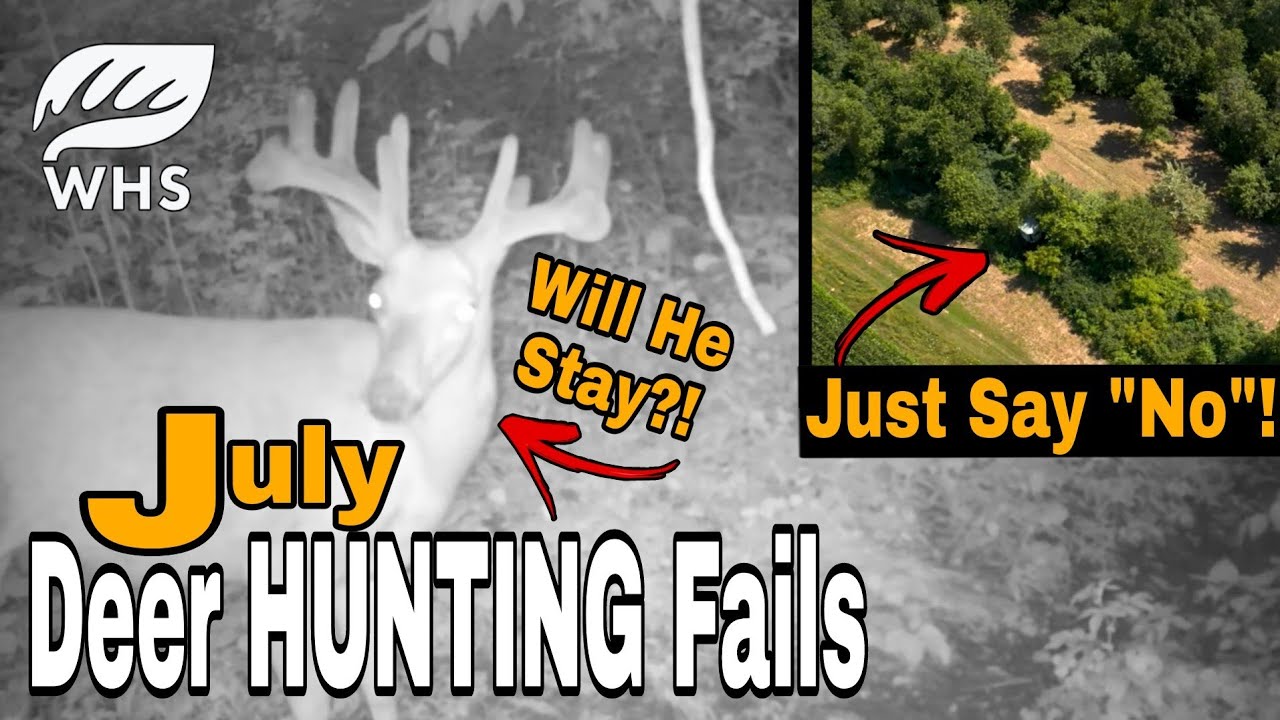 July Deer Hunting Fails - YouTube
