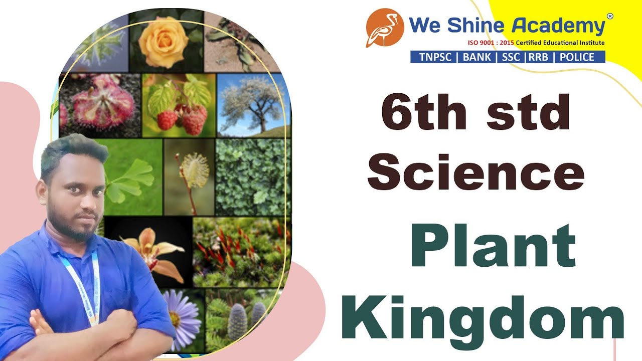 6th STD Science | Plant Kingdom | TNPSC | TET | TNUSRB - YouTube