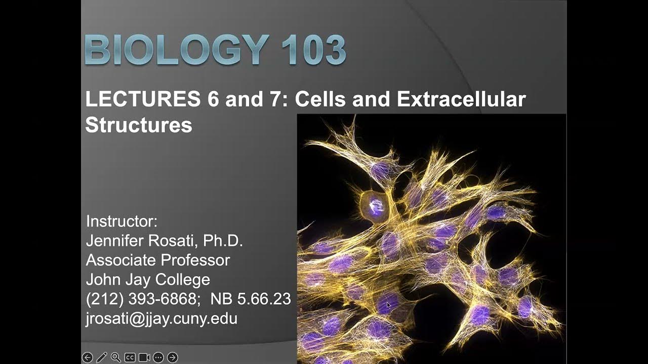 Lecture 6+7 Part 1 Intro to Cells - YouTube