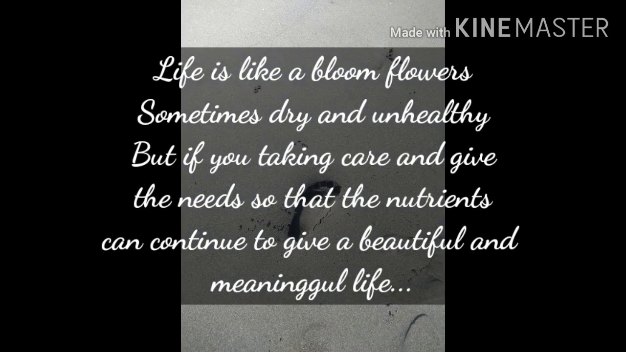 My 1st ever inspirational quotes about our life. - YouTube