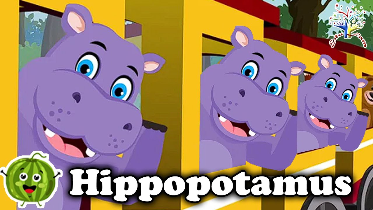 The Animal | Hippopotamus | Science for Kids | Best Learning Videos For ...