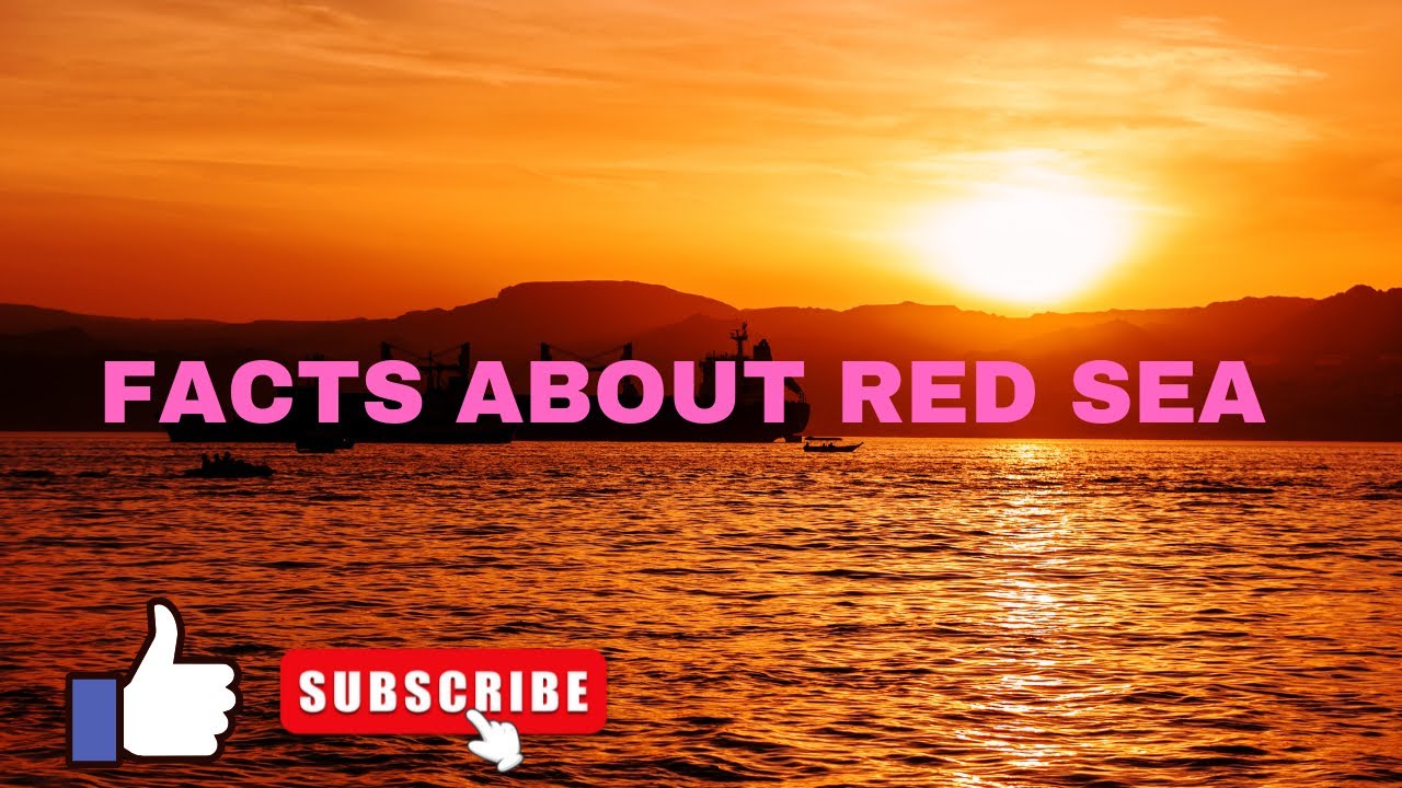 RED SEA Facts || Mysterious Underwater World - YouTube