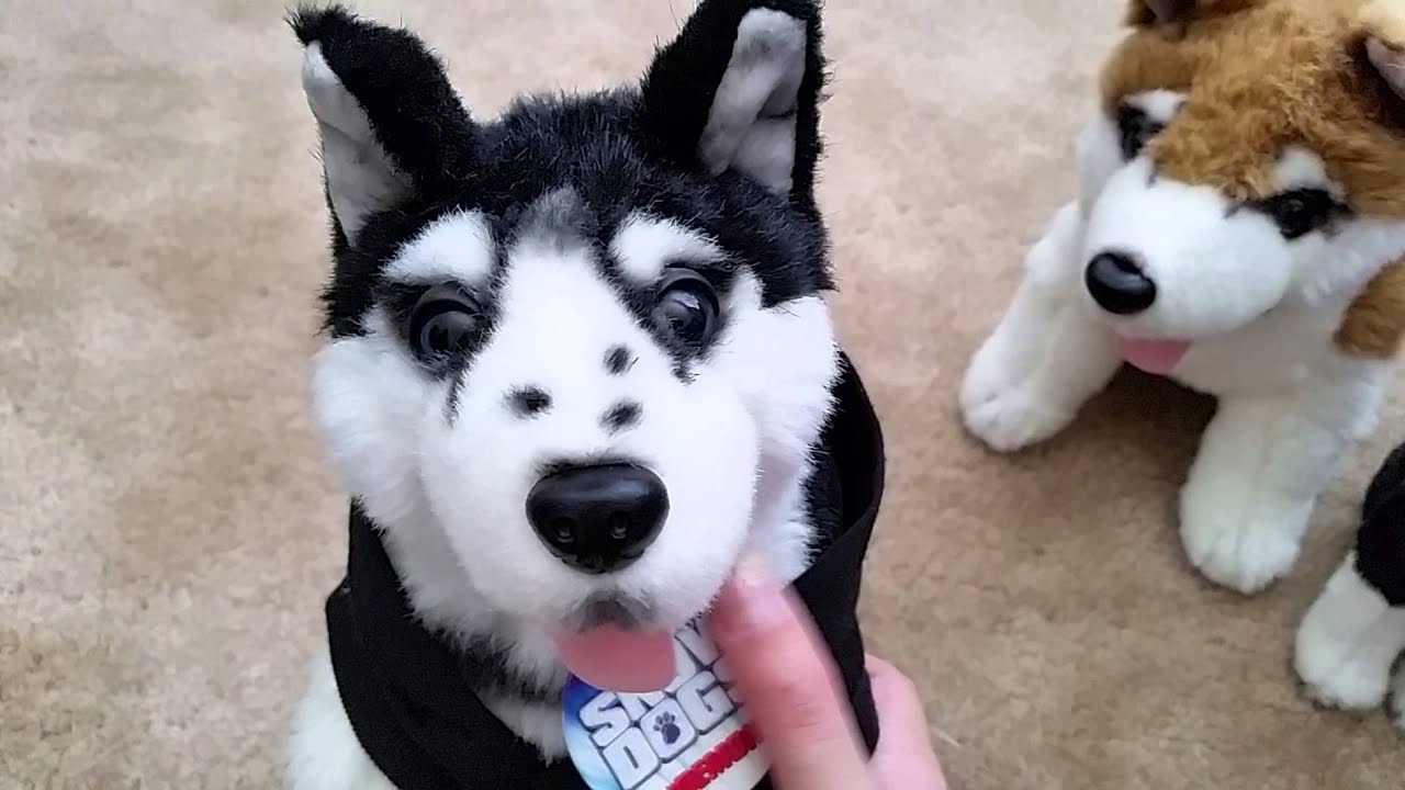 Disney Husky Plush Review! - YouTube