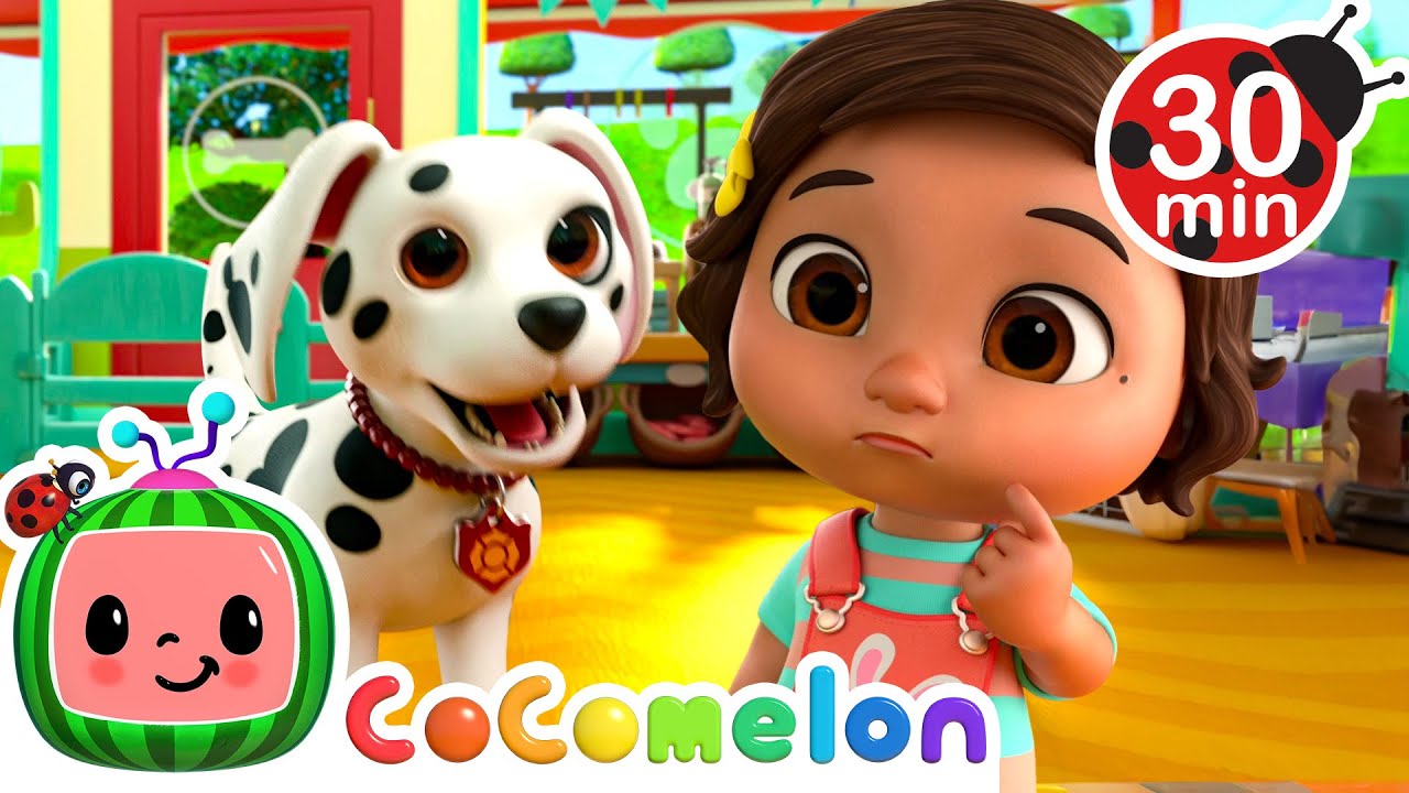 What Does a Dog's 'Woof' Mean? Nina's Pet Store Song | CoComelon ...