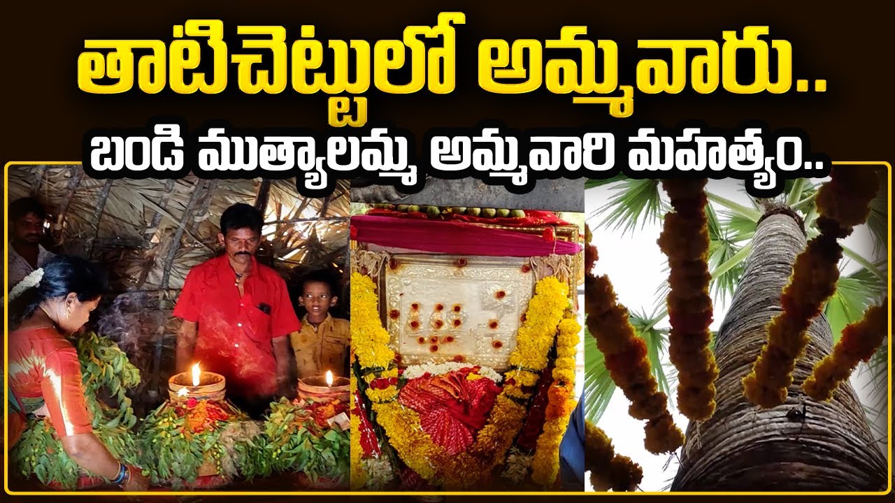 Bandi Mutyalamma Ammavari Temple History | West Godavari | Mutyalapalli ...