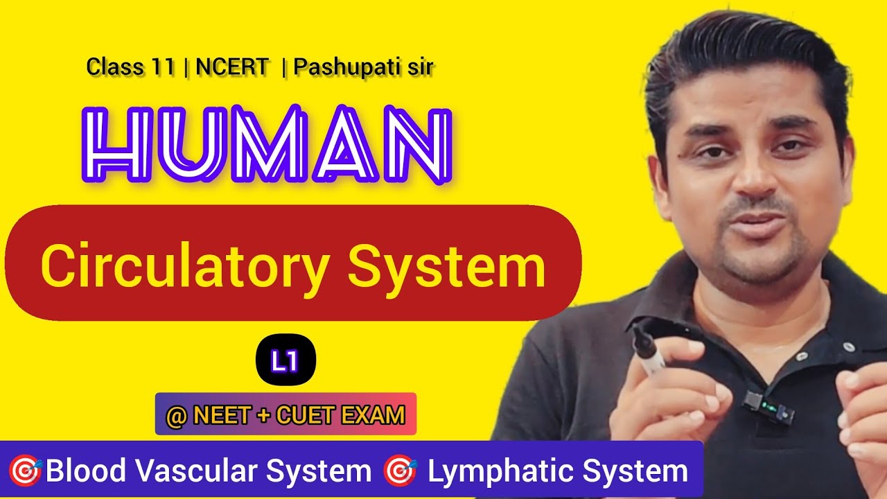 L1: Human Circulatory System | Class 11 NCERT | NEET & CUET EXAMS ...