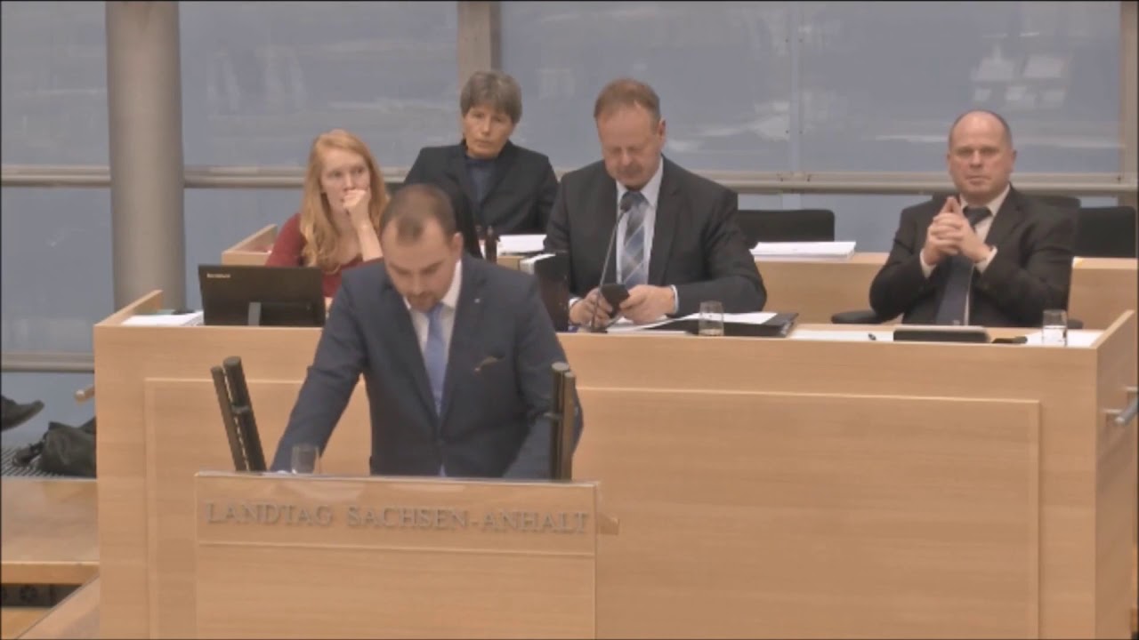 Daniel Roi (AfD) - Familien entlasten! Kostenlose KITAs muss das Ziel ...