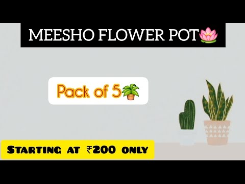 MOST VIRAL FLOWER POT FROM MEESHO💗UNDER ₹200🌸/UNBOXING HONEST REVIEW🪴# ...