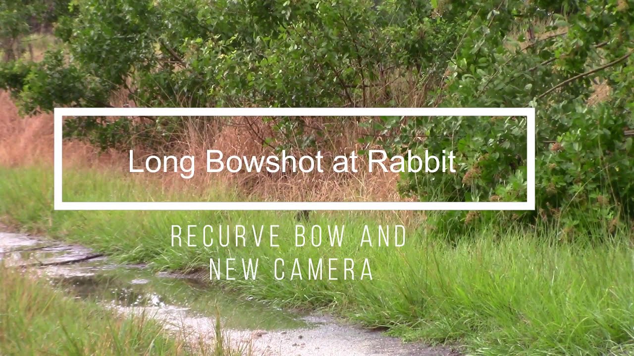 Long Recurve Bow Shot on Rabbit - YouTube